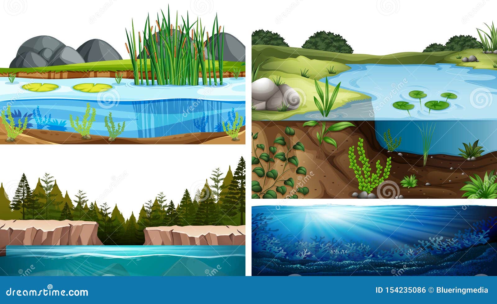 Aquatic Ecosystems with Pond, Lake, River Stock Vector - Illustration ...