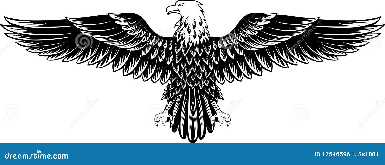 Aquila illustrazione vettoriale. Illustrazione di aquila - 12546596