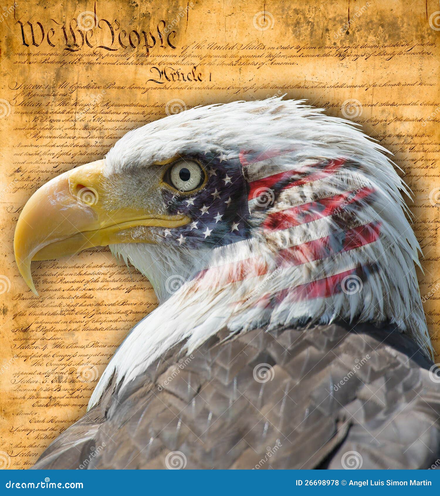 Aquila americana fotografia stock. Immagine di calligrafia - 26698978