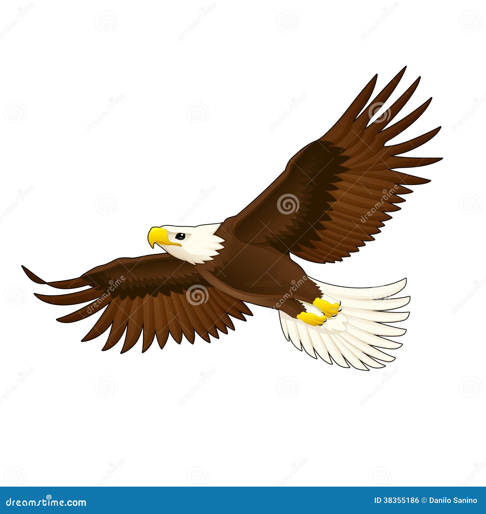 Aquila americana. illustrazione vettoriale. Illustrazione di fumetto ...
