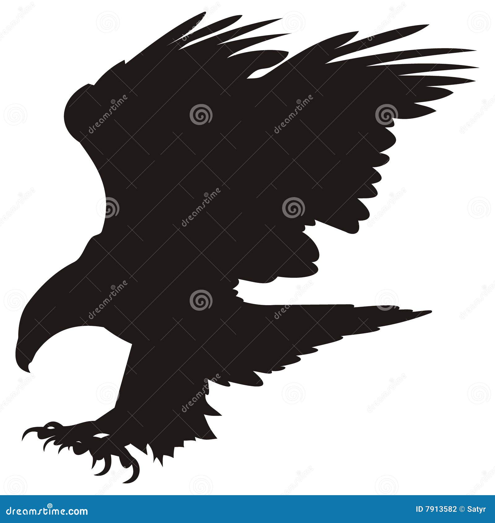 Aquila di volo illustrazione vettoriale. Illustrazione di nero - 7913582