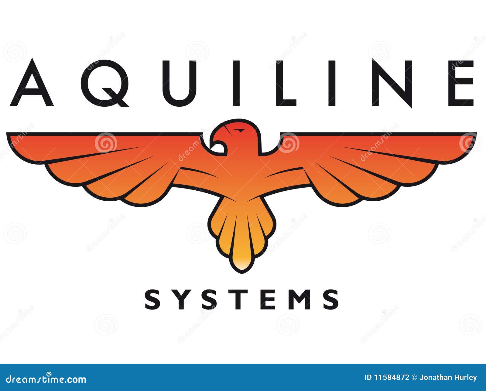 Aquiline stock vector. Illustration of delivery, logo - 11584872