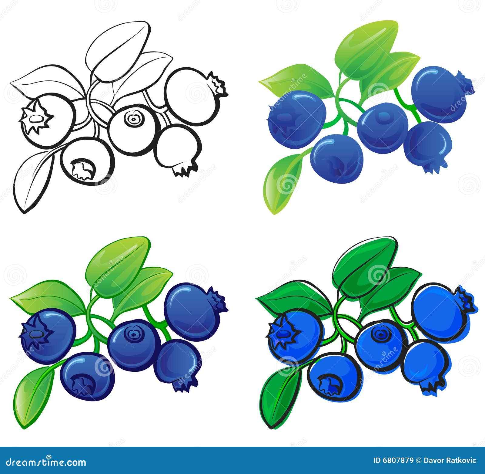 Arándano ilustración del vector. Ilustración de salud - 6807879