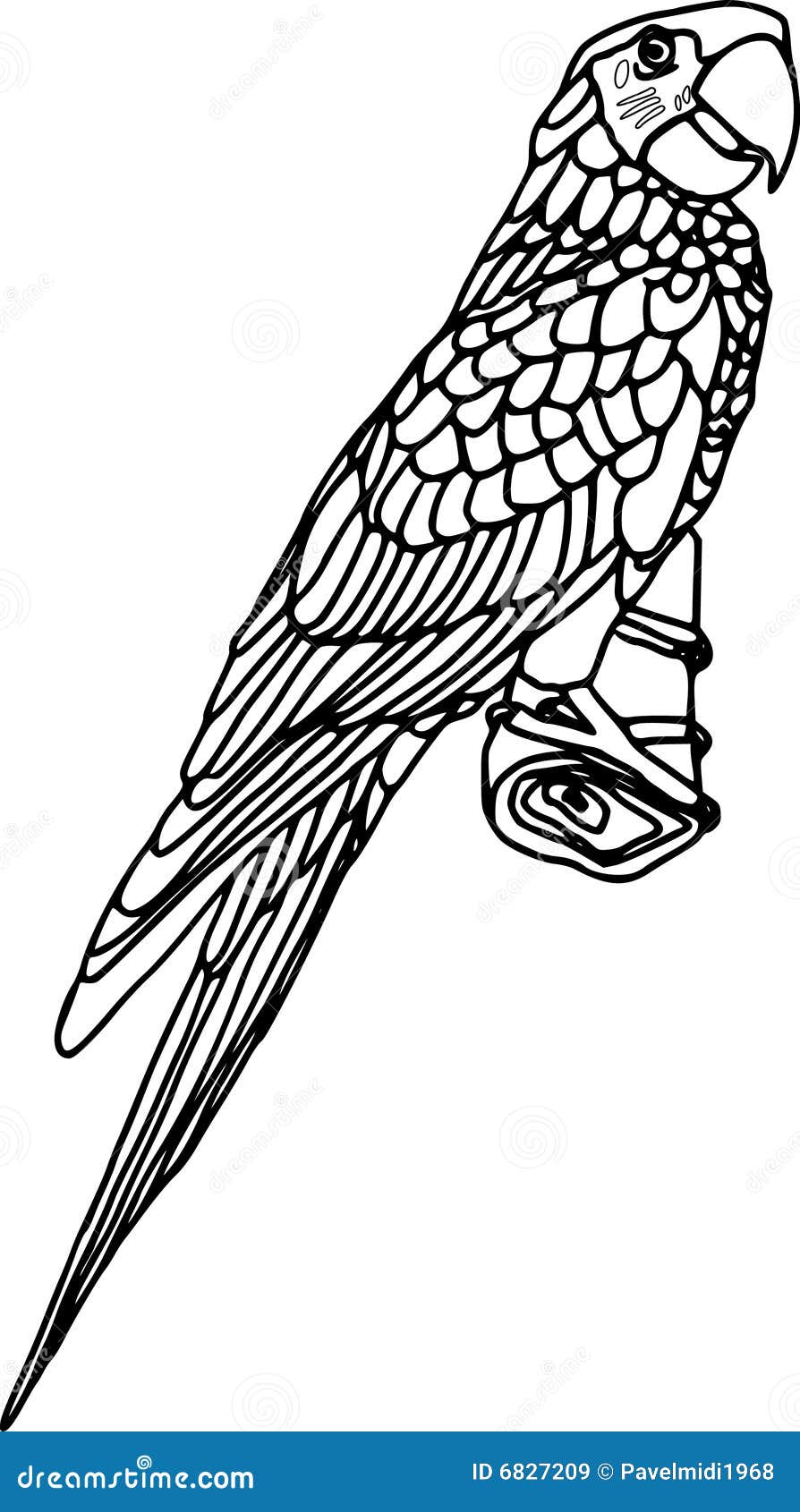 Ara Cartoons, Illustrations & Vector Stock Images - 11737 Pictures to ...