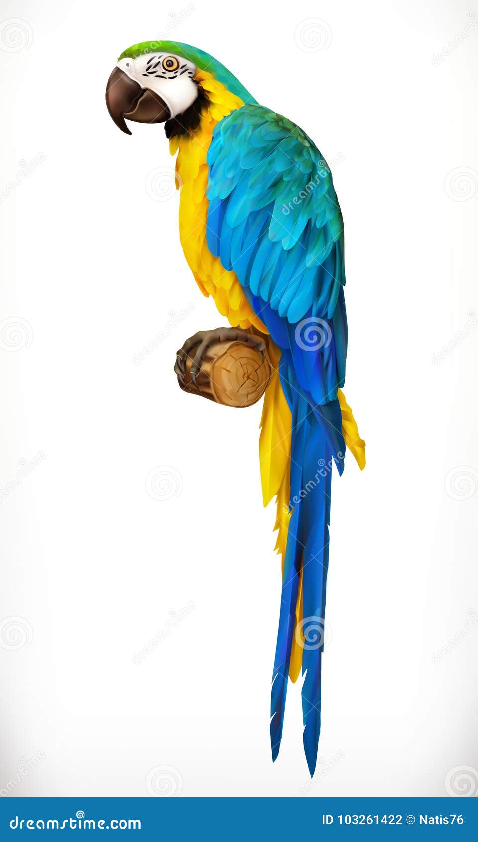 Ara Parrot. Macaw. 3d Vector Icon Stock Vector - Illustration of mascot ...