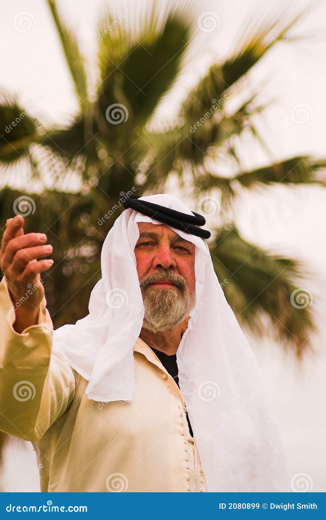 Arab stock image. Image of brown, africa, greeting, hand - 2080899