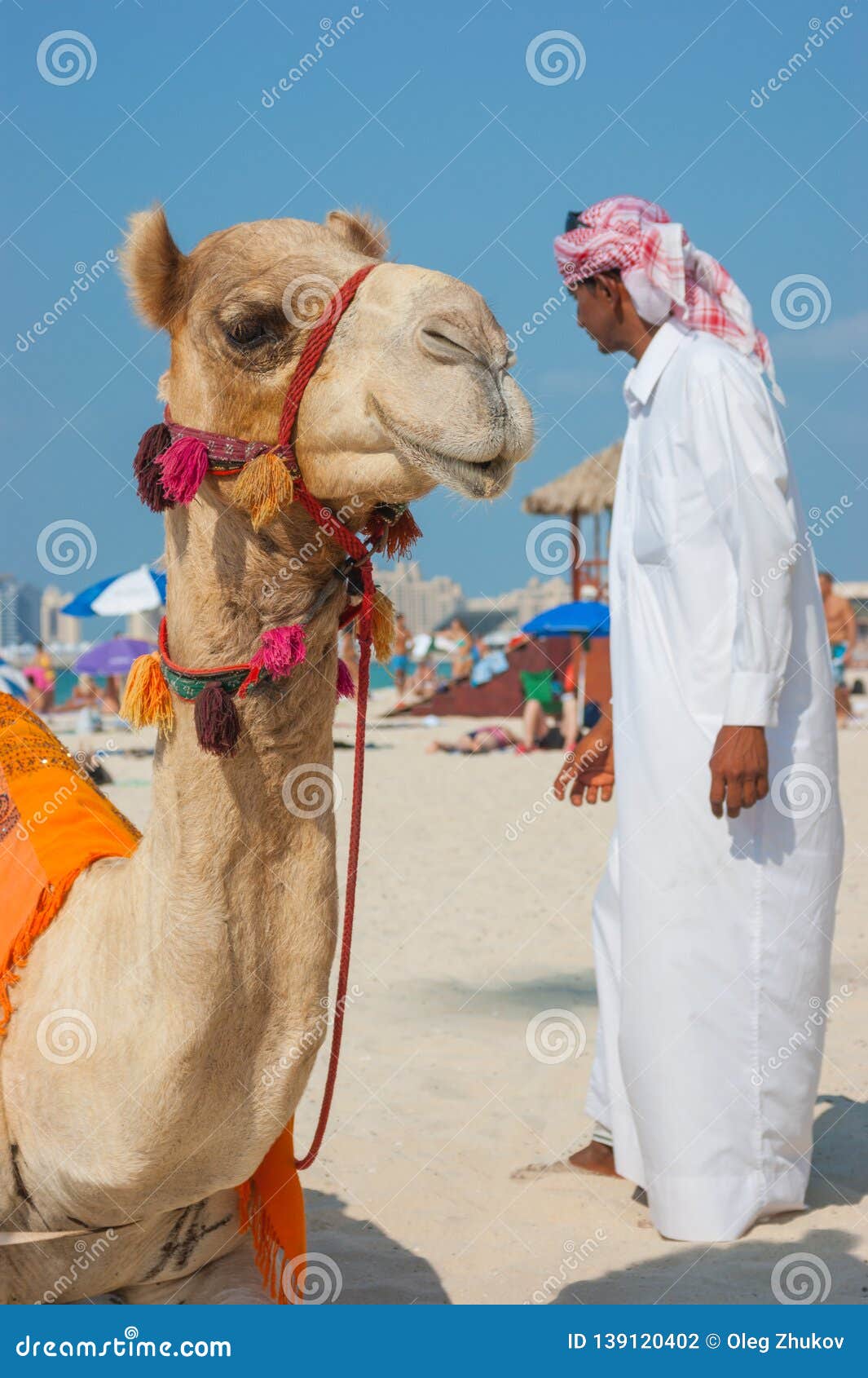 Arab with Camel on the Beach in Dubai Editorial Photography - Image of ...