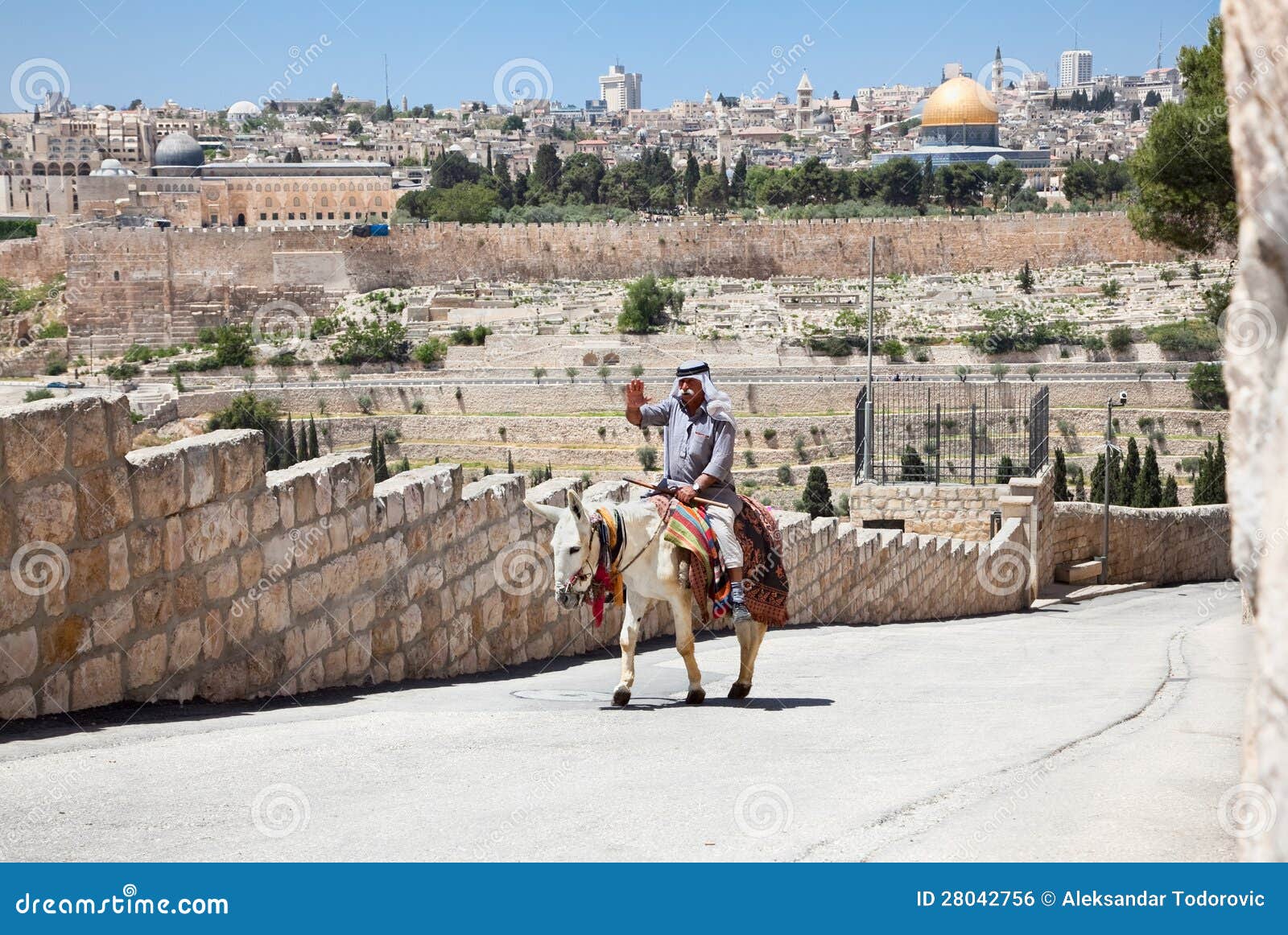 Arab Goes on the Street Riding on a White Donkey, Jerusalem Editorial ...