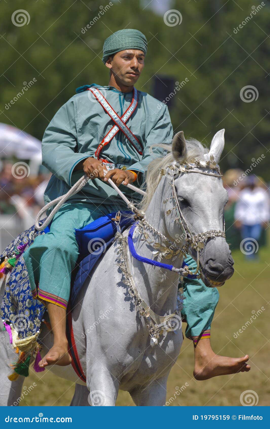 Arab horse editorial stock image. Image of islam, history - 19795159