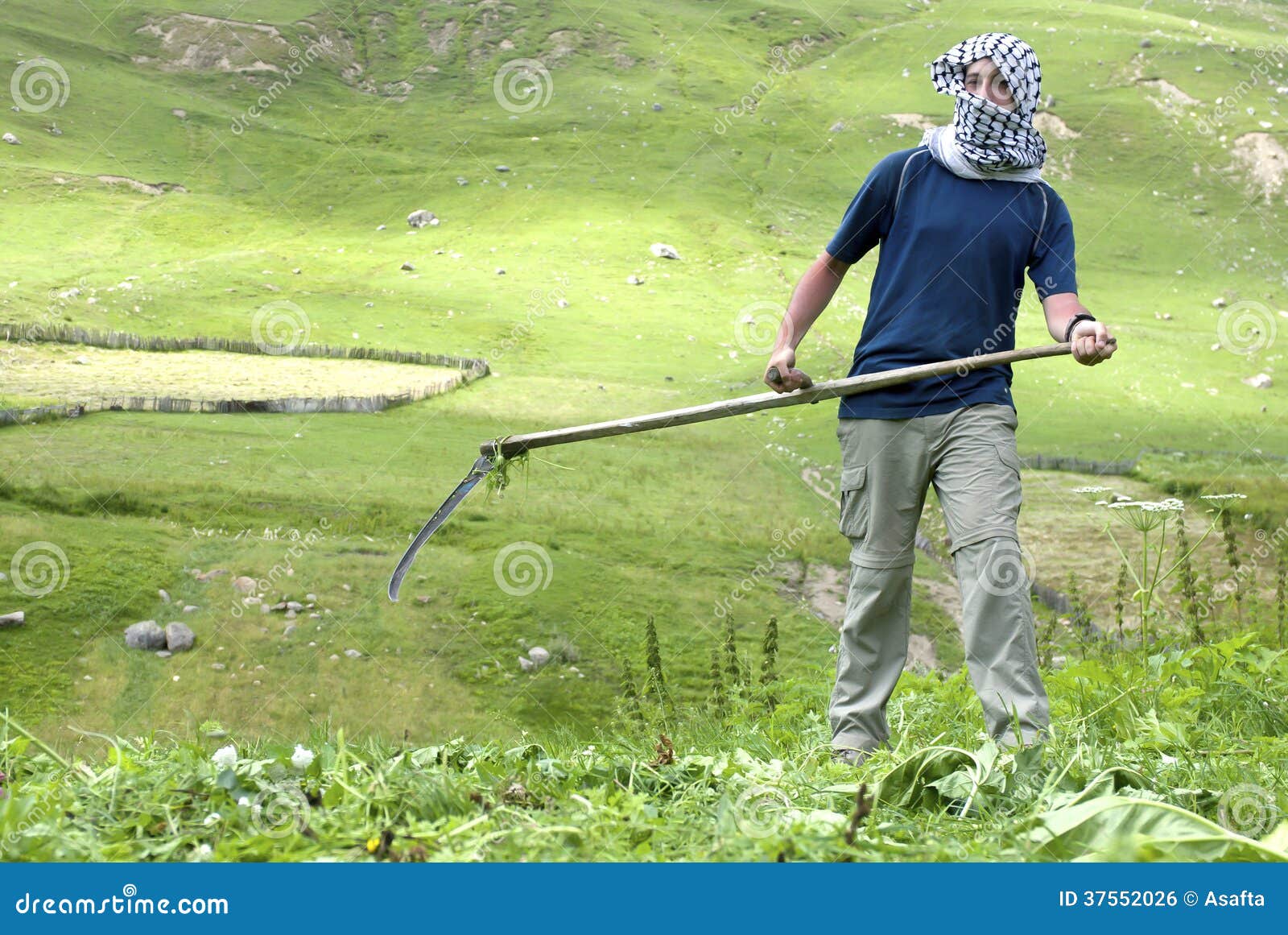 Arab Man Working in a Field Stock Photo - Image of cultivated, food ...