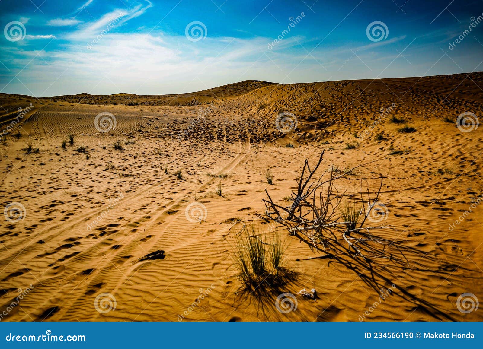 Arabian desert image stock photo. Image of east, west - 234566190