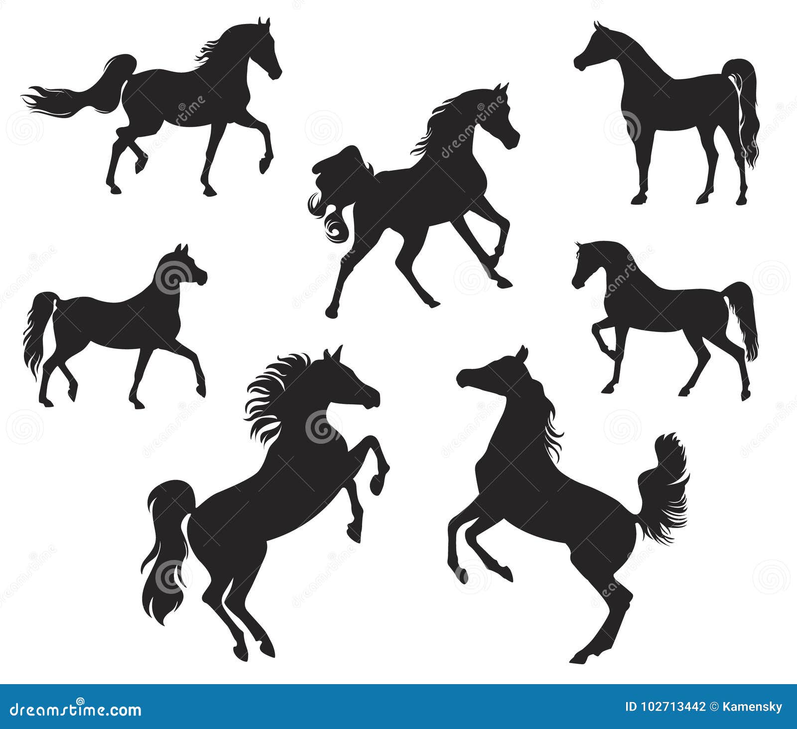Arabian Horse, Horse (Arab, Head). Drawing By Hand. Vector Illustration ...