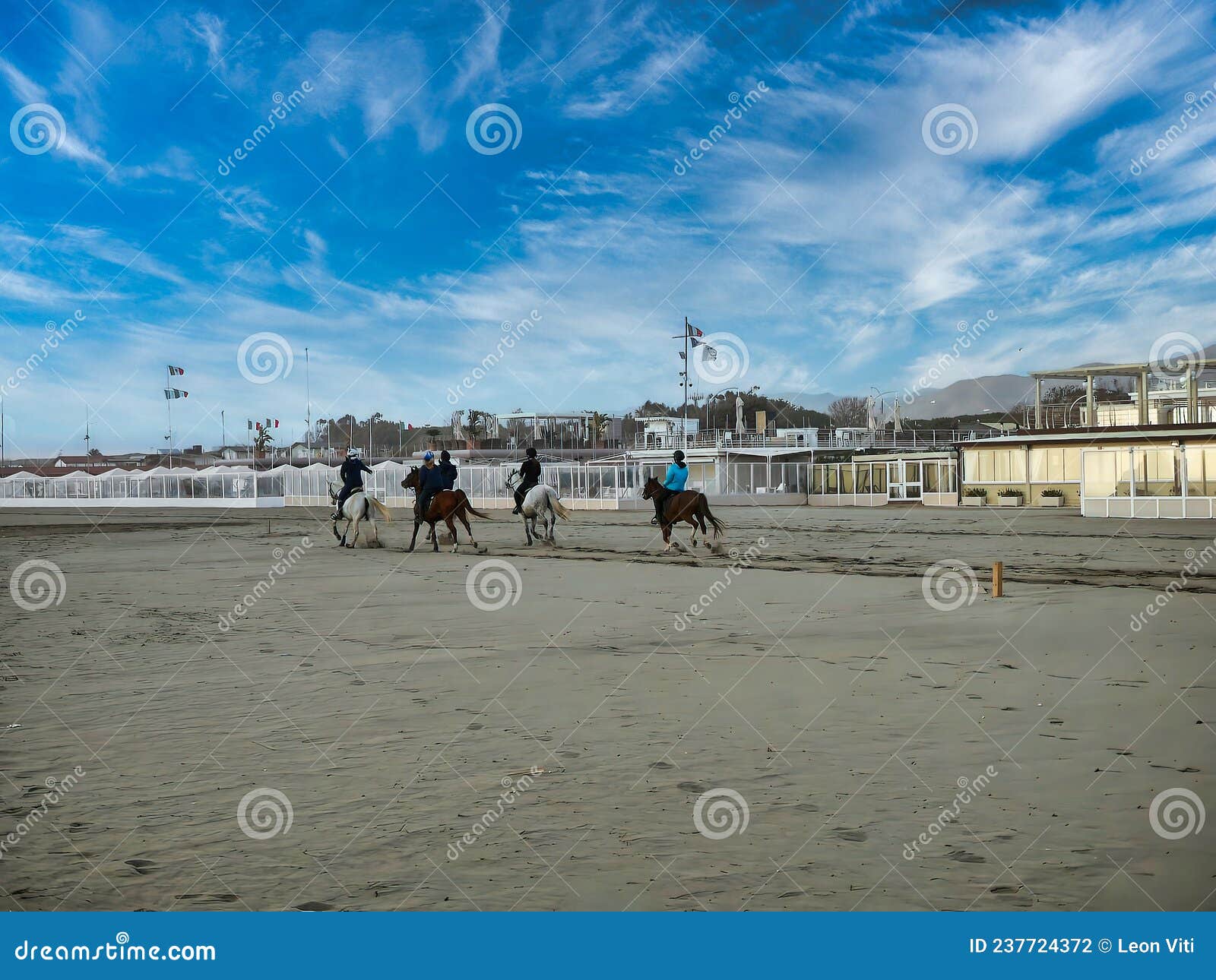 Arabian Horses Galloping on the Beach Editorial Photography - Image of ...