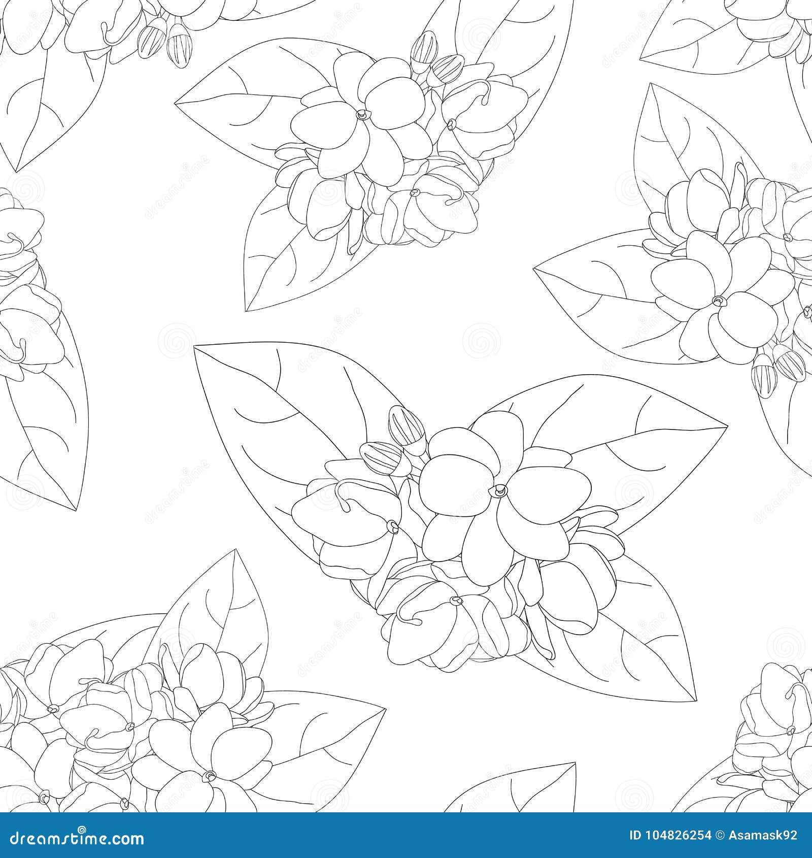 Arabian Jasmine Flower Tattoo, Minimalist Outline Jasmine Flower Tattoo ...