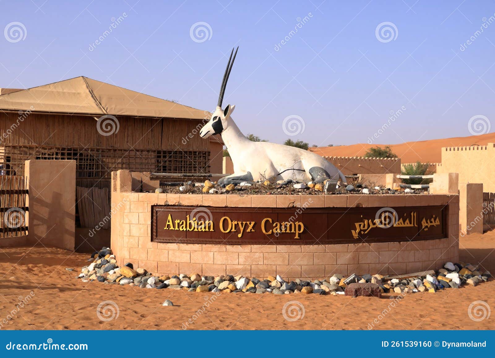 Arabian Oryxes Oryx Leucoryx Statue in Oman Editorial Image - Image of ...