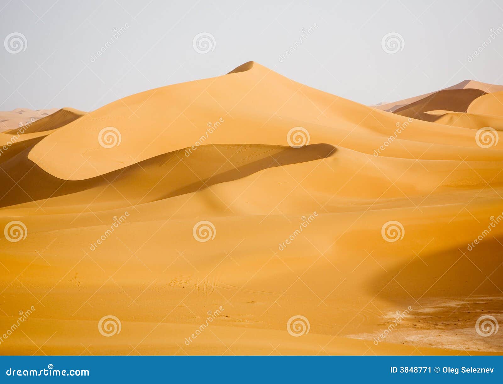 Arabian Sand Dunes stock image. Image of desert, journey - 3848771