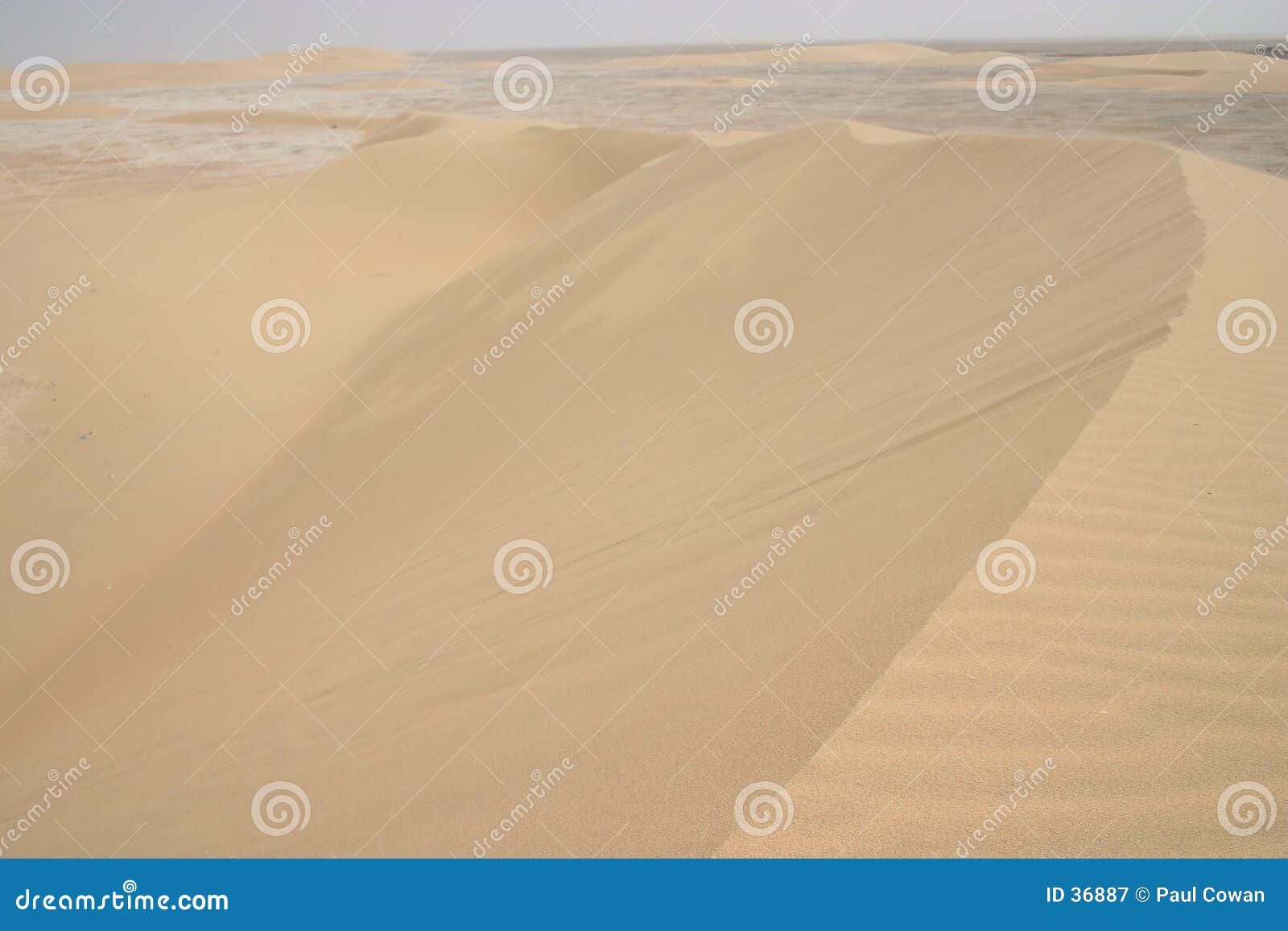 Arabian sandstorm stock image. Image of desert, empty, sandstorm - 36887