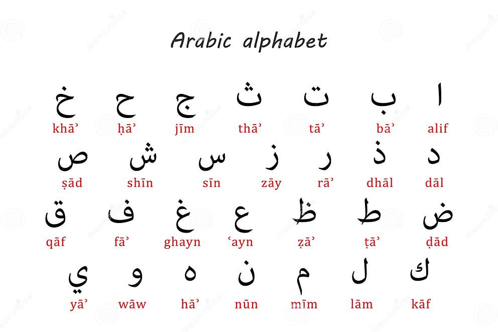 Arabic Alphabet Chart with Romanized Transliteration for Learning Stock ...