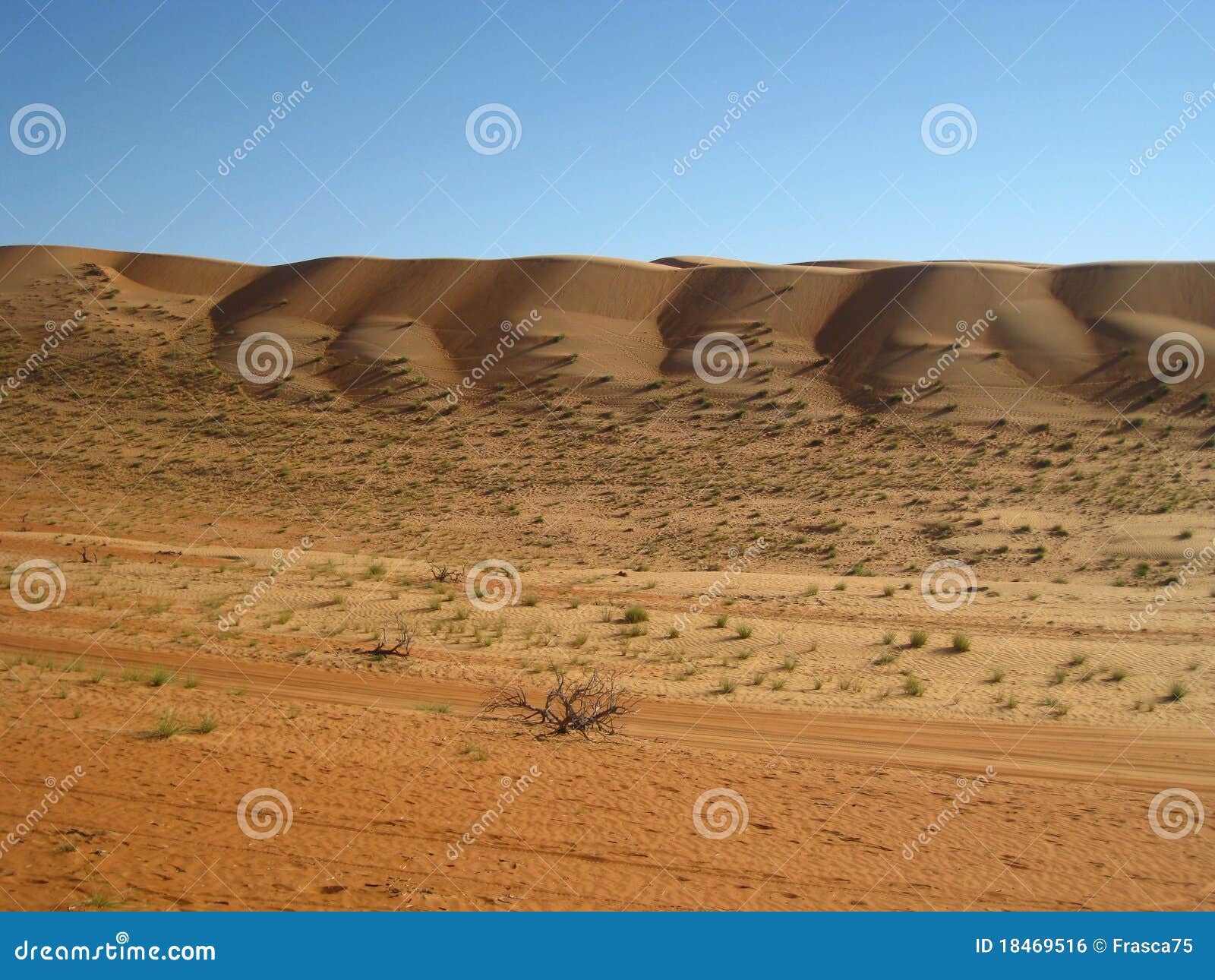 The Arabic Desert stock photo. Image of dunes, orange - 18469516