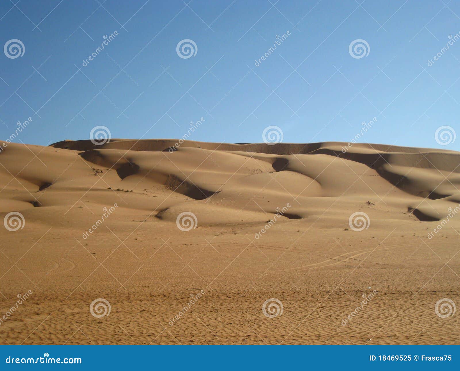 The Arabic Desert stock image. Image of dunes, oman, tree - 18469525