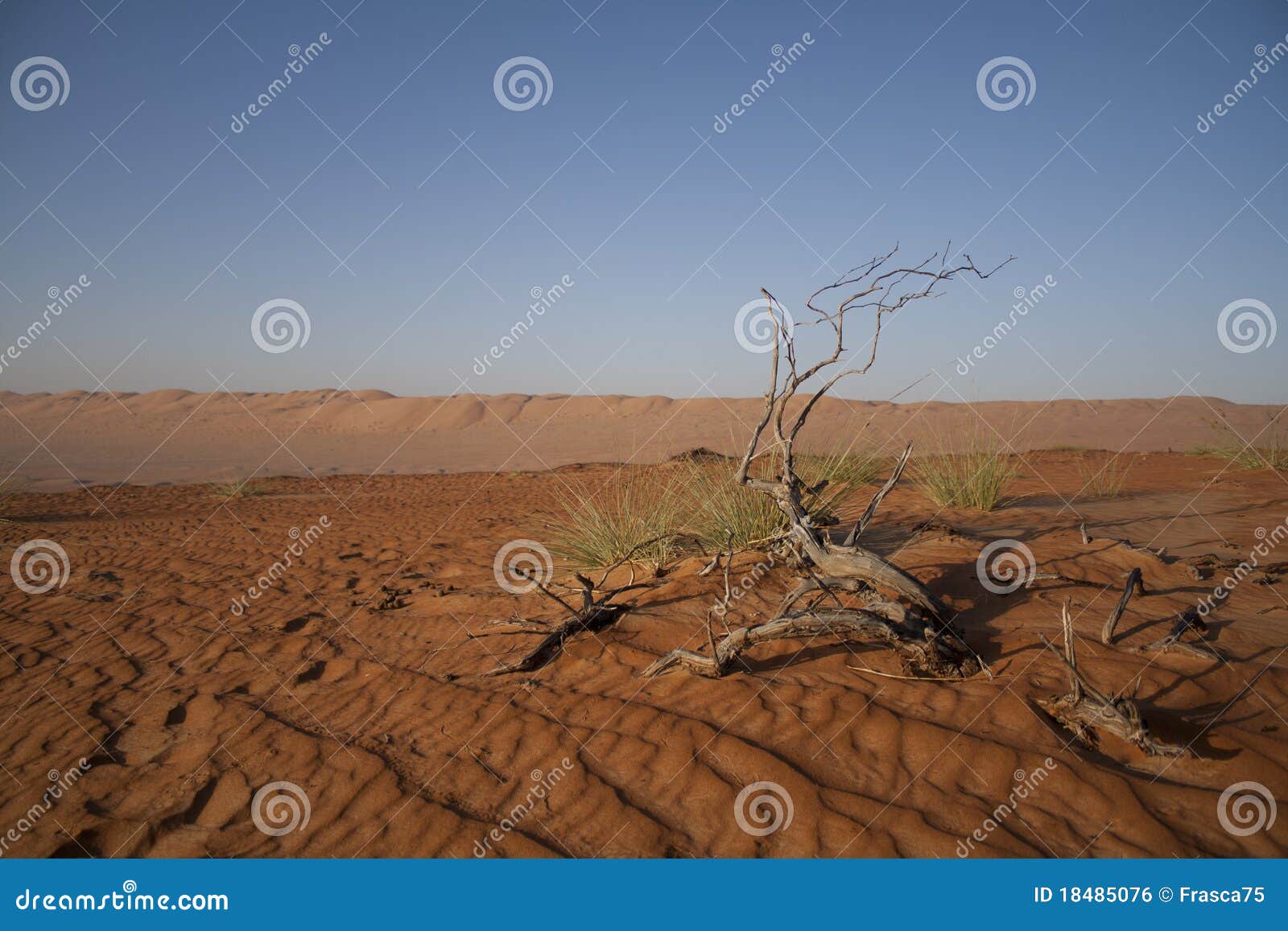 The Arabic Desert stock photo. Image of oman, asia, dunes - 18485076