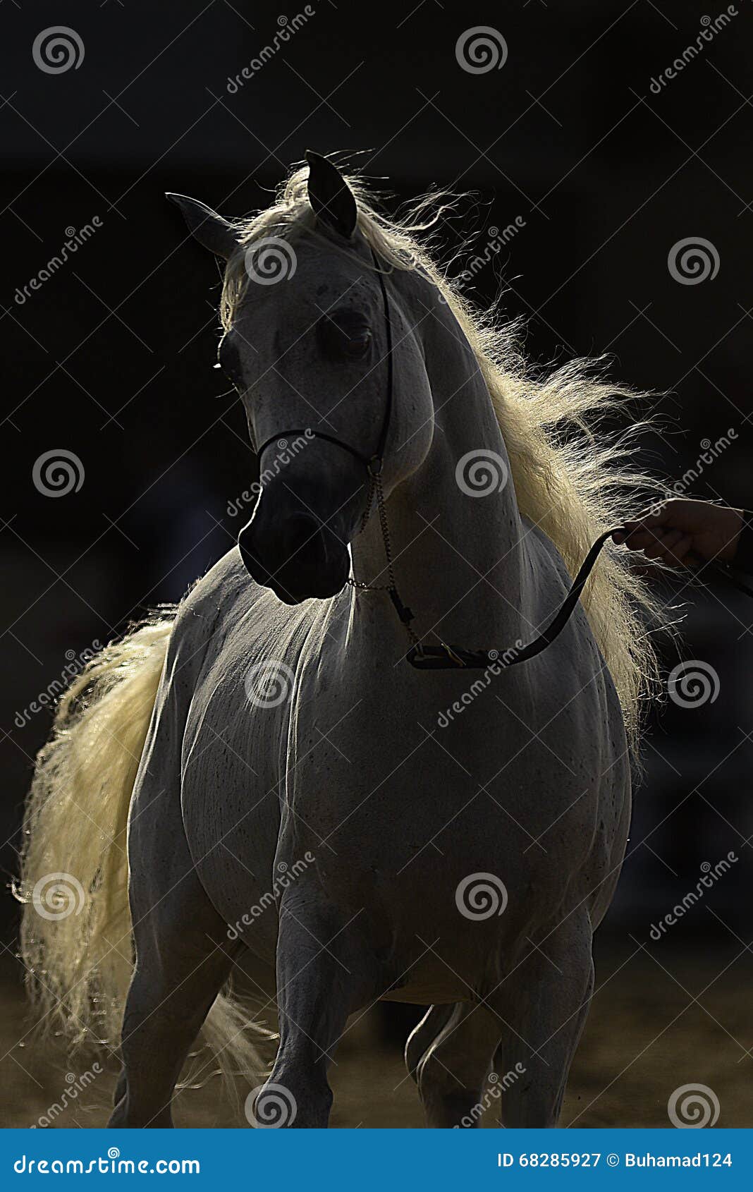 Arabic Hours stock image. Image of hours, remlight, silhouette - 68285927