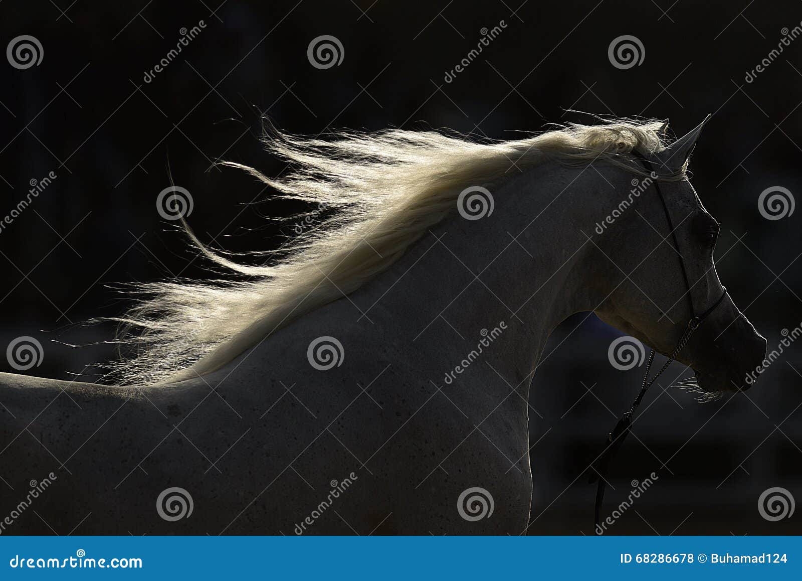 Remlight Stock Photos - Free & Royalty-Free Stock Photos from Dreamstime