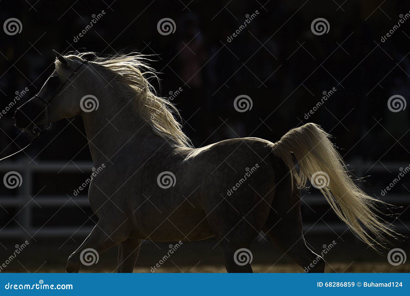Arabic Hours stock image. Image of qatar, beauty, kuwait - 68286859