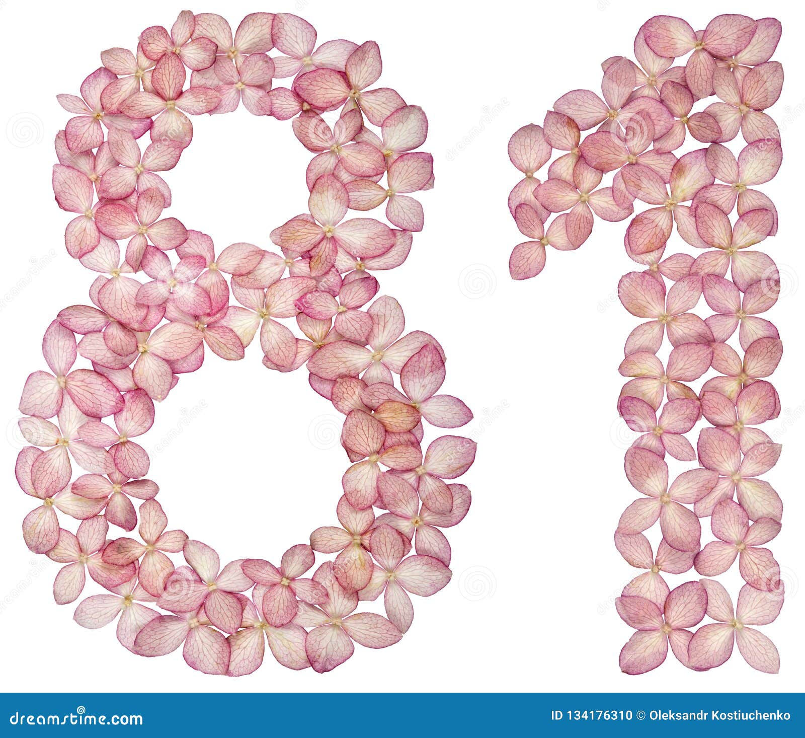 Eight Hydrangea Botanicals Floral Tags Background Wallpaper Distressed ...