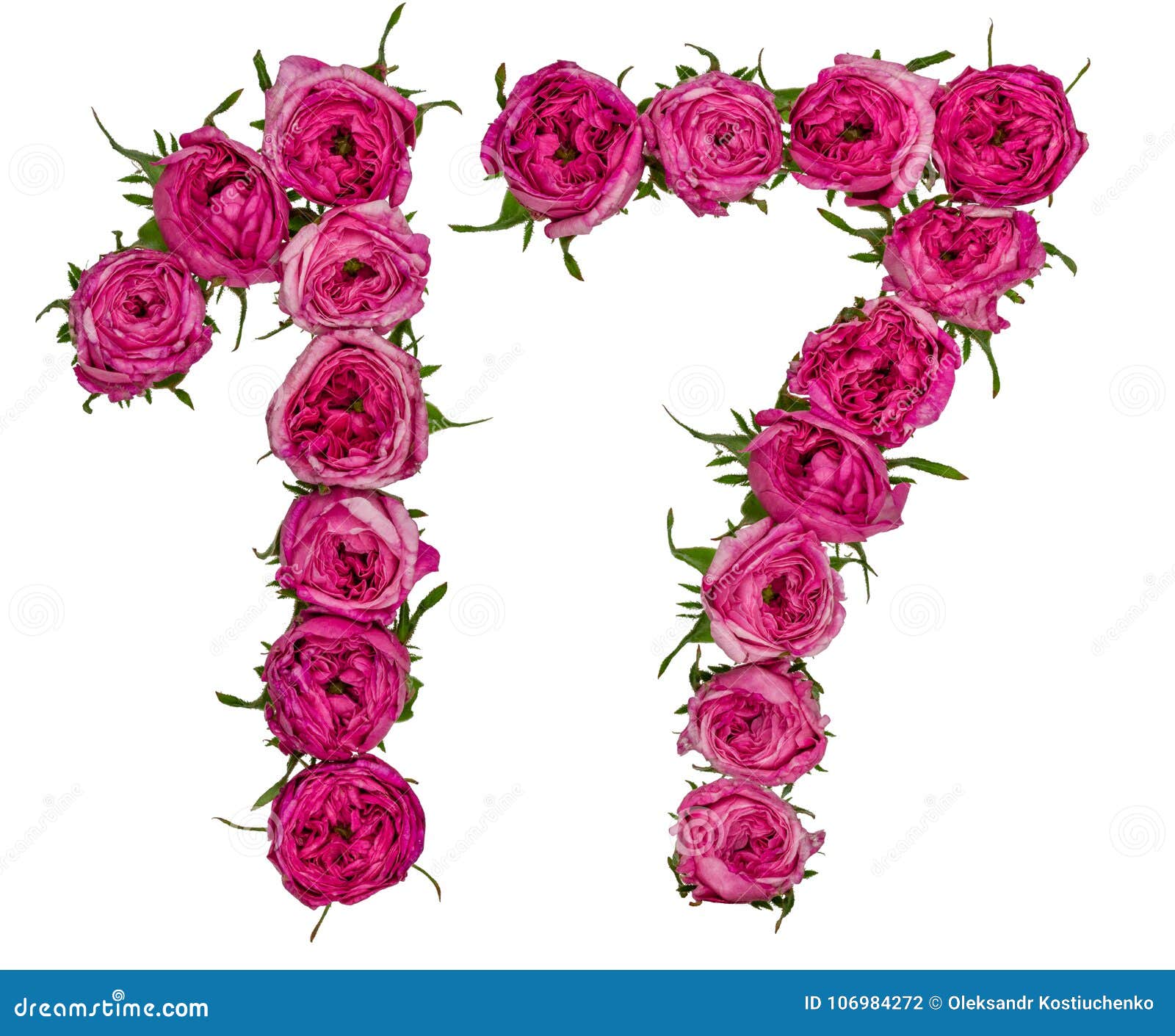 Arabic Numeral 17, Seventeen, from Red Flowers of Rose, Isolated Stock ...