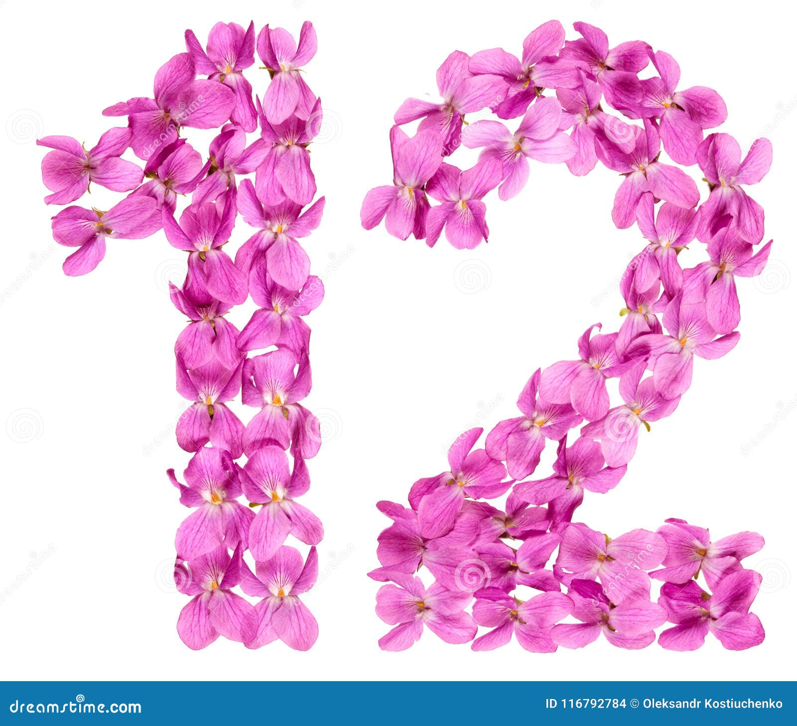 Arabic Numeral 12, Twelve, from Flowers of Viola, Isolated on Wh Stock ...