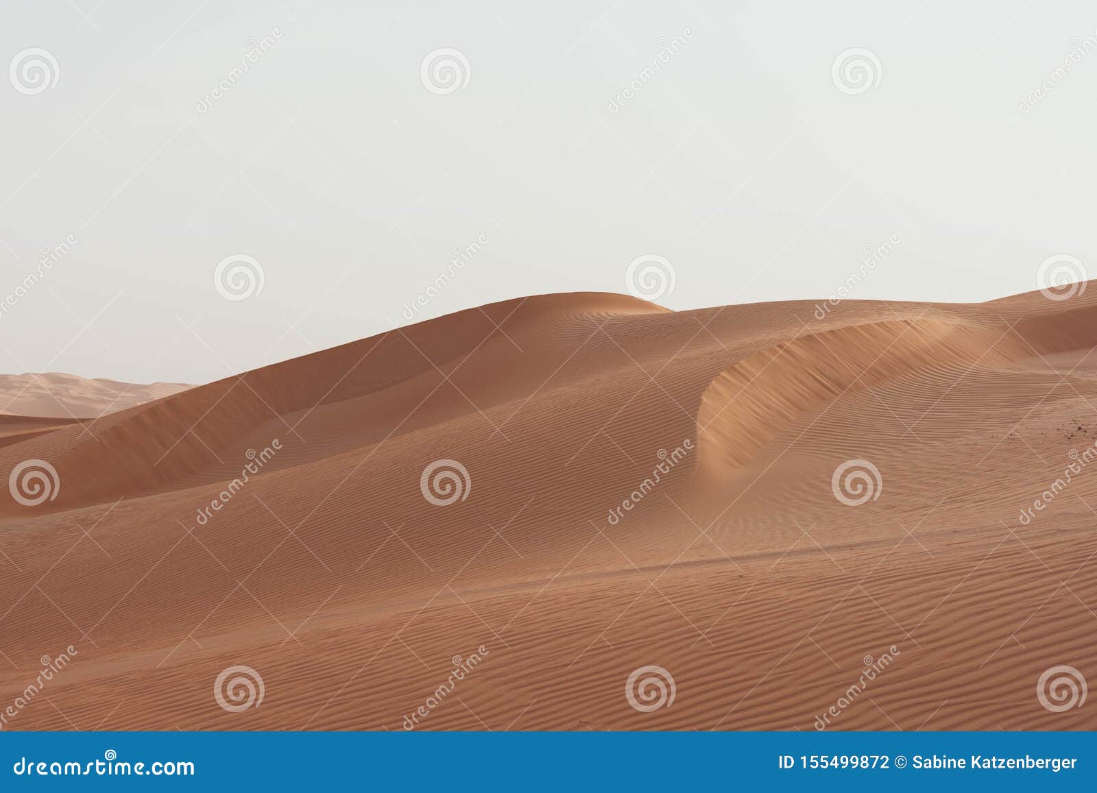 Arabic sand desert stock photo. Image of khali, nature - 155499872