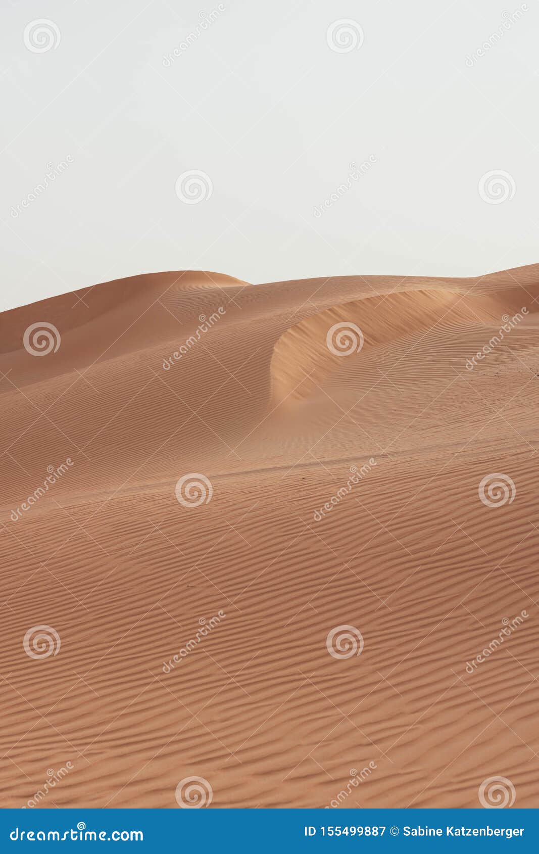 Arabic sand desert stock image. Image of heat, landscape - 155499887
