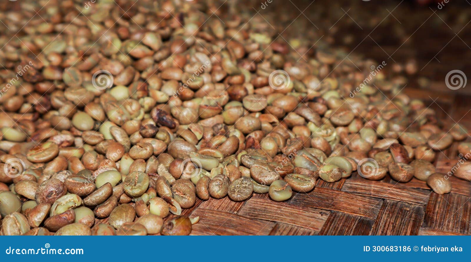 Arabica Coffee Beans in the Sorting Process Stock Photo - Image of ...