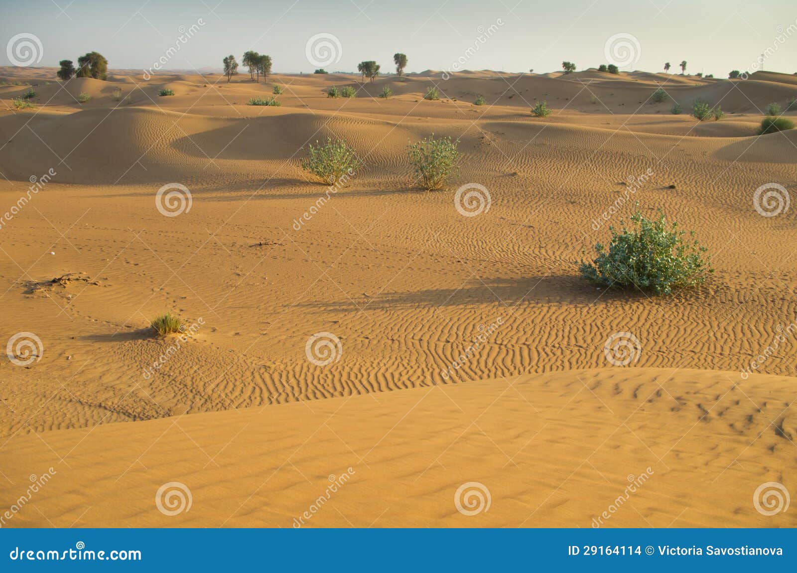 Arabische woestijn stock foto. Image of heuvel, hemel - 29164114