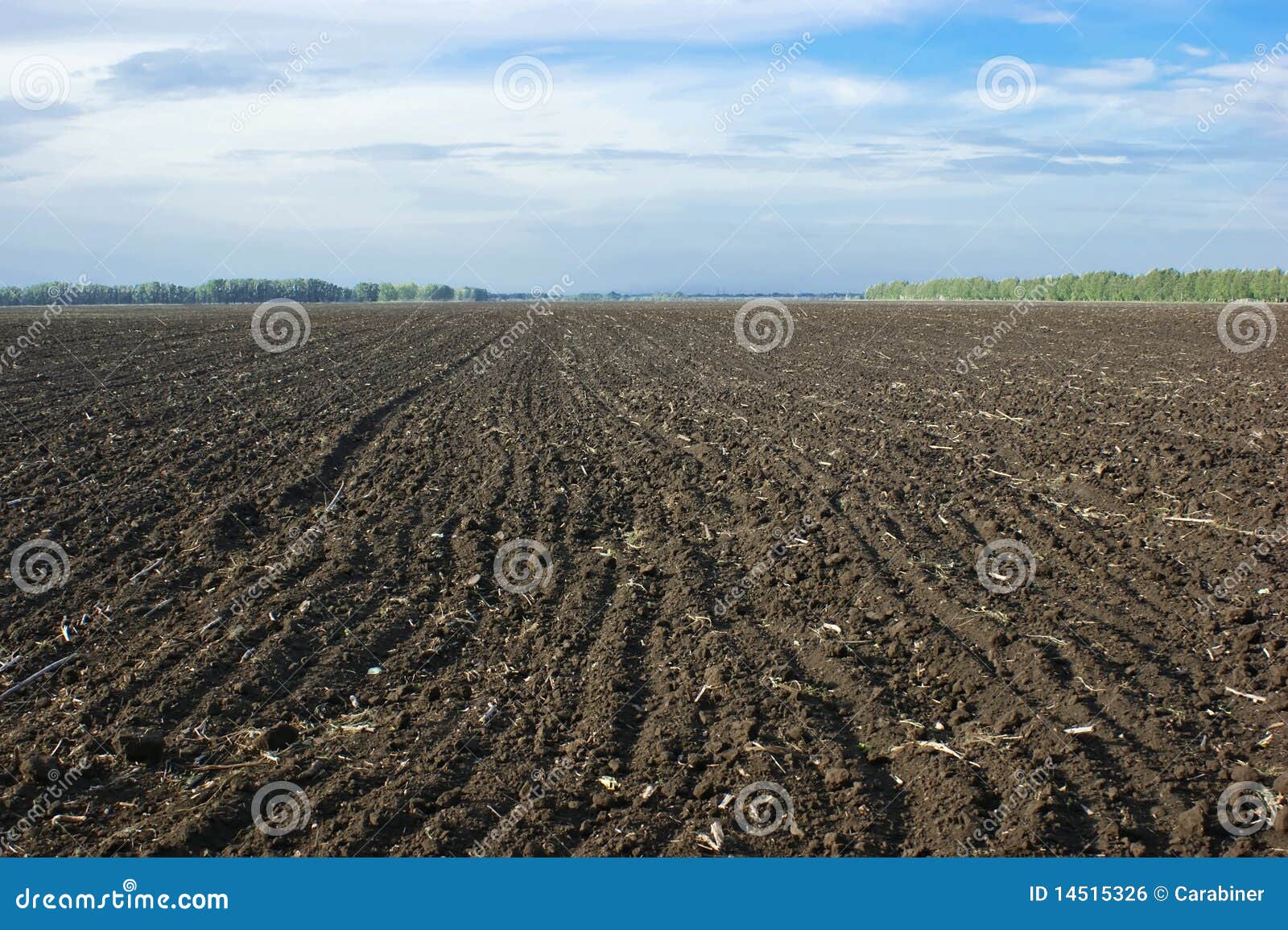 Arable stock photo. Image of arable, land, meadow, trees - 14515326