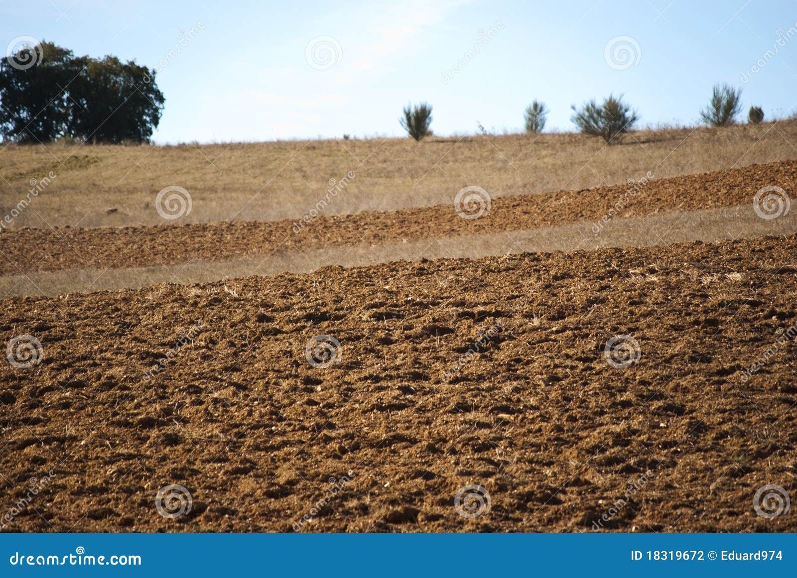 Arable stock photo. Image of arable, irrigation, agricultural - 18319672