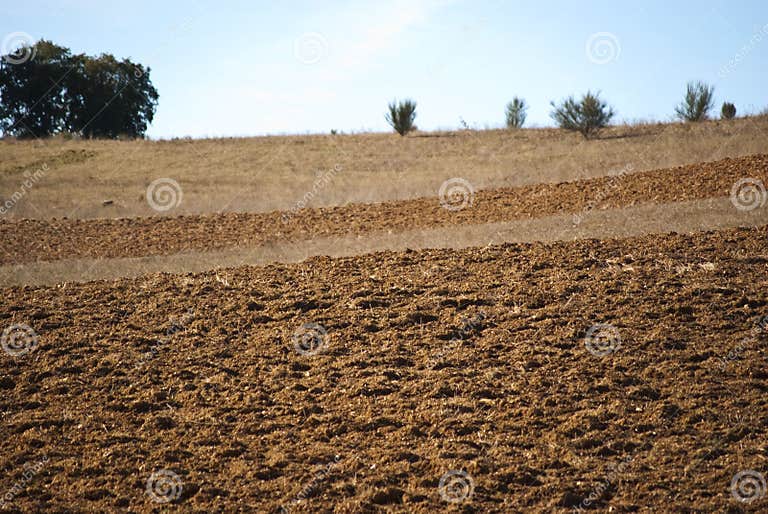 Arable stock photo. Image of arable, irrigation, agricultural - 18319672