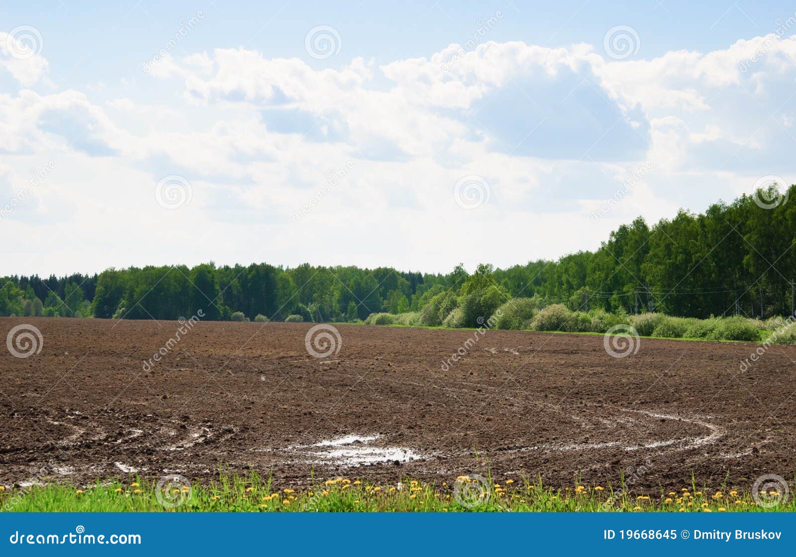 Arable stock image. Image of earth, horizon, nature, field - 19668645