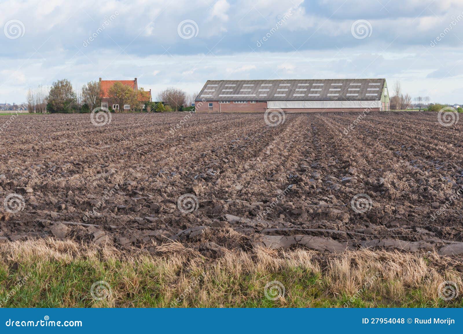 Arable Farm in the Netherlands Stock Photo - Image of barn, church ...