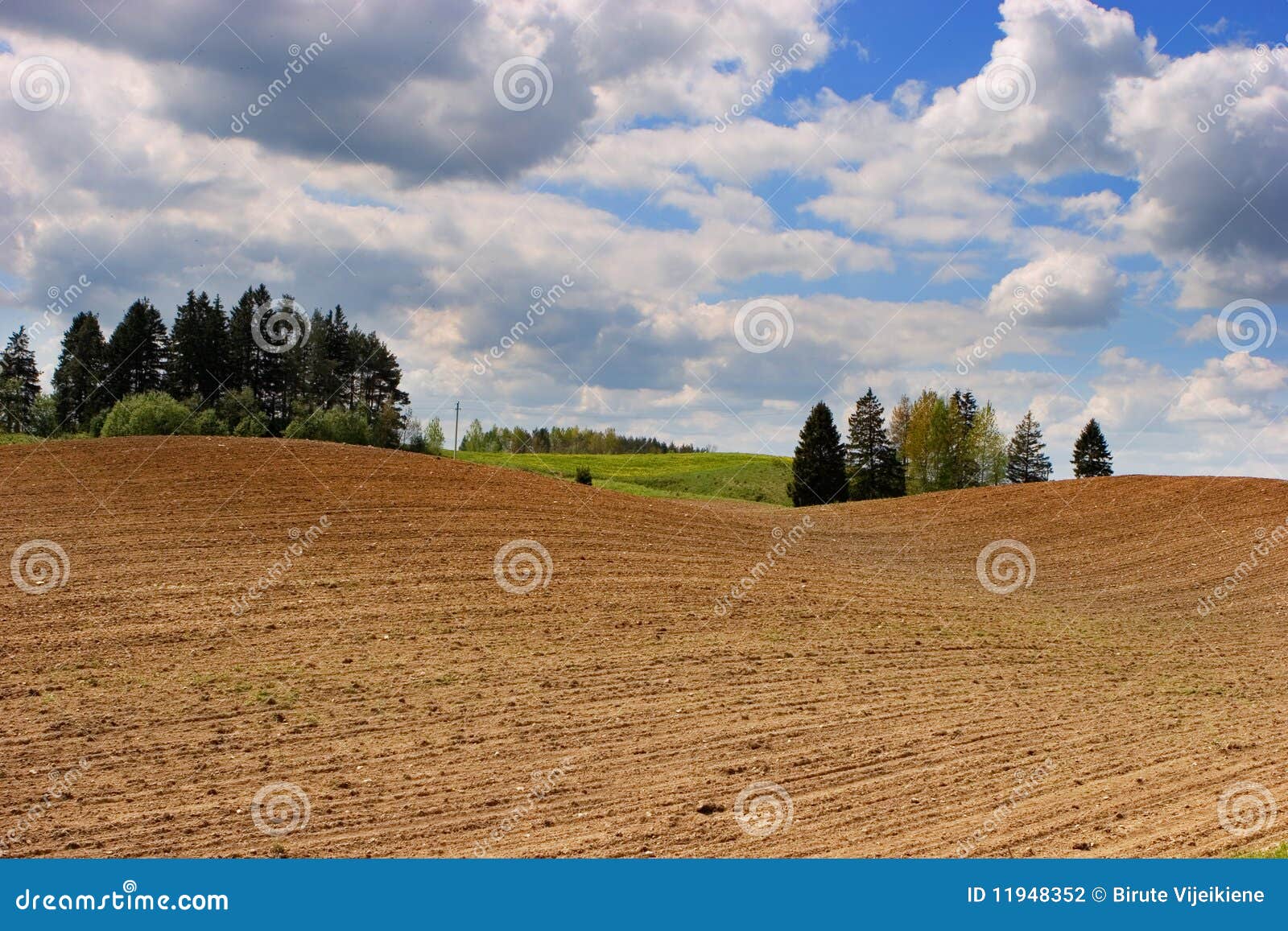 Arable field stock photo. Image of view, tillage, rural - 11948352