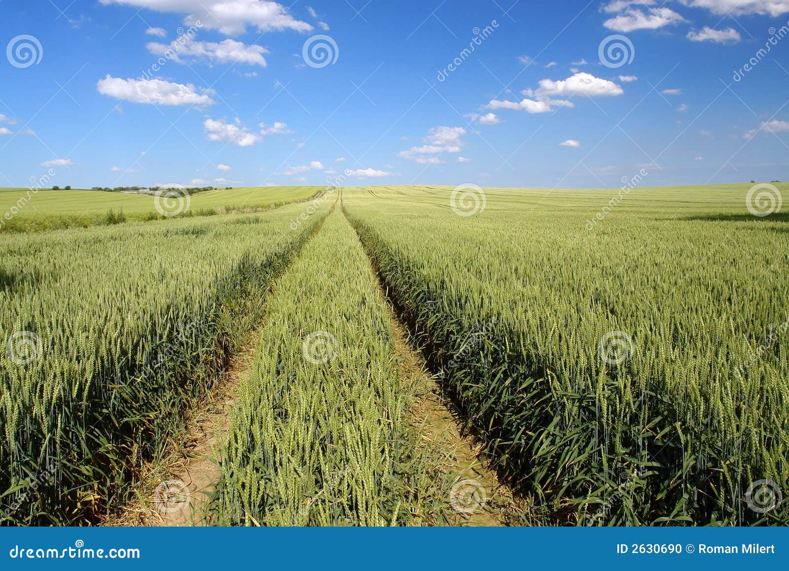 Arable field stock photo. Image of agriculture, field - 2630690