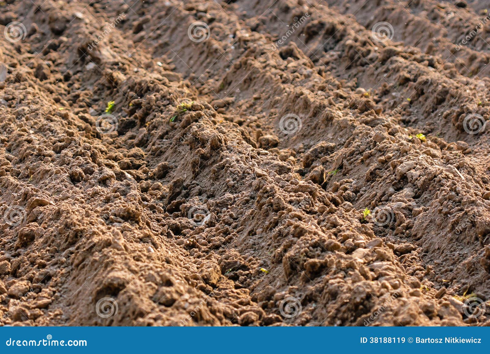 Arable field stock image. Image of field, line, rural - 38188119