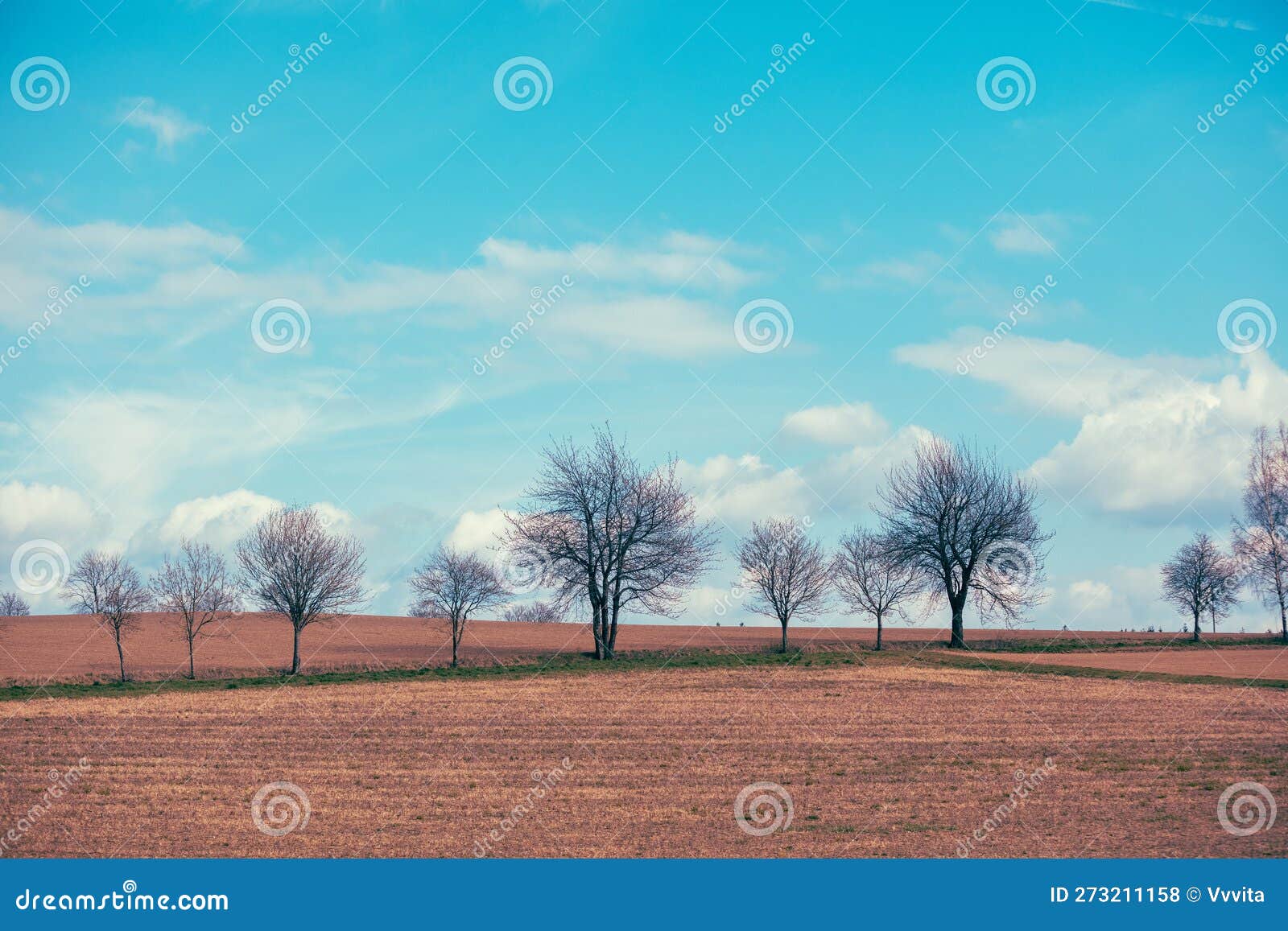 Arable Field with Bare Trees in Early Spring Stock Photo - Image of ...