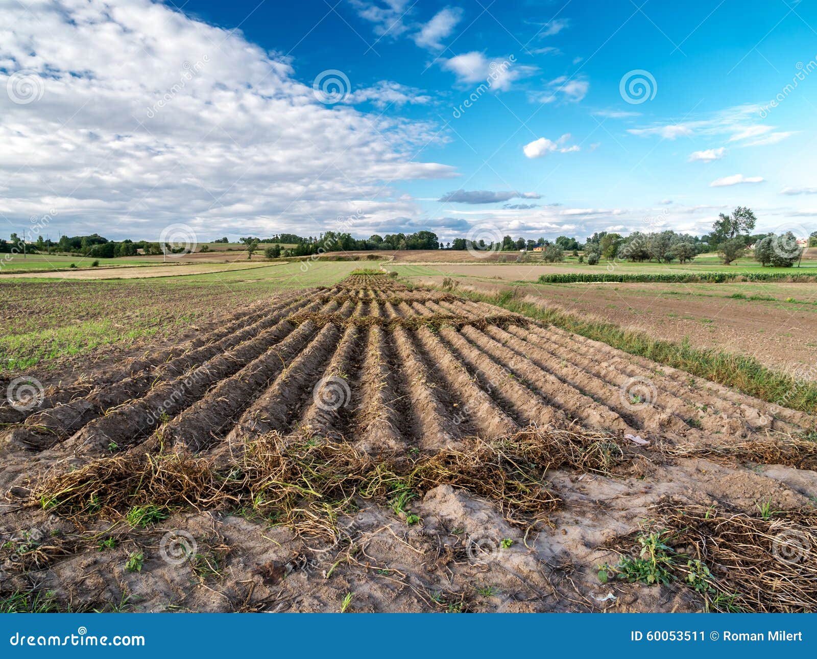 Arable field stock image. Image of autumn, landscape - 60053511