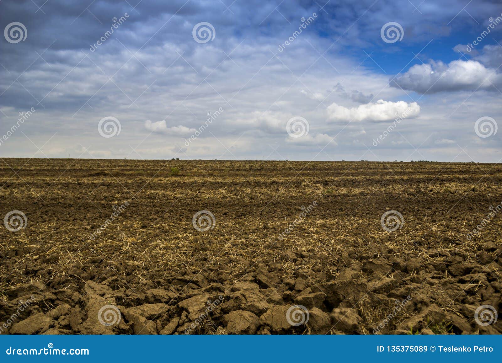 Arable field farm stock image. Image of outdoor, rural - 135375089