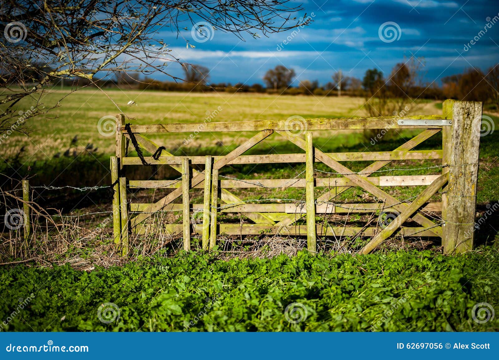 Field And Gate Background Royalty-Free Stock Photo | CartoonDealer.com ...