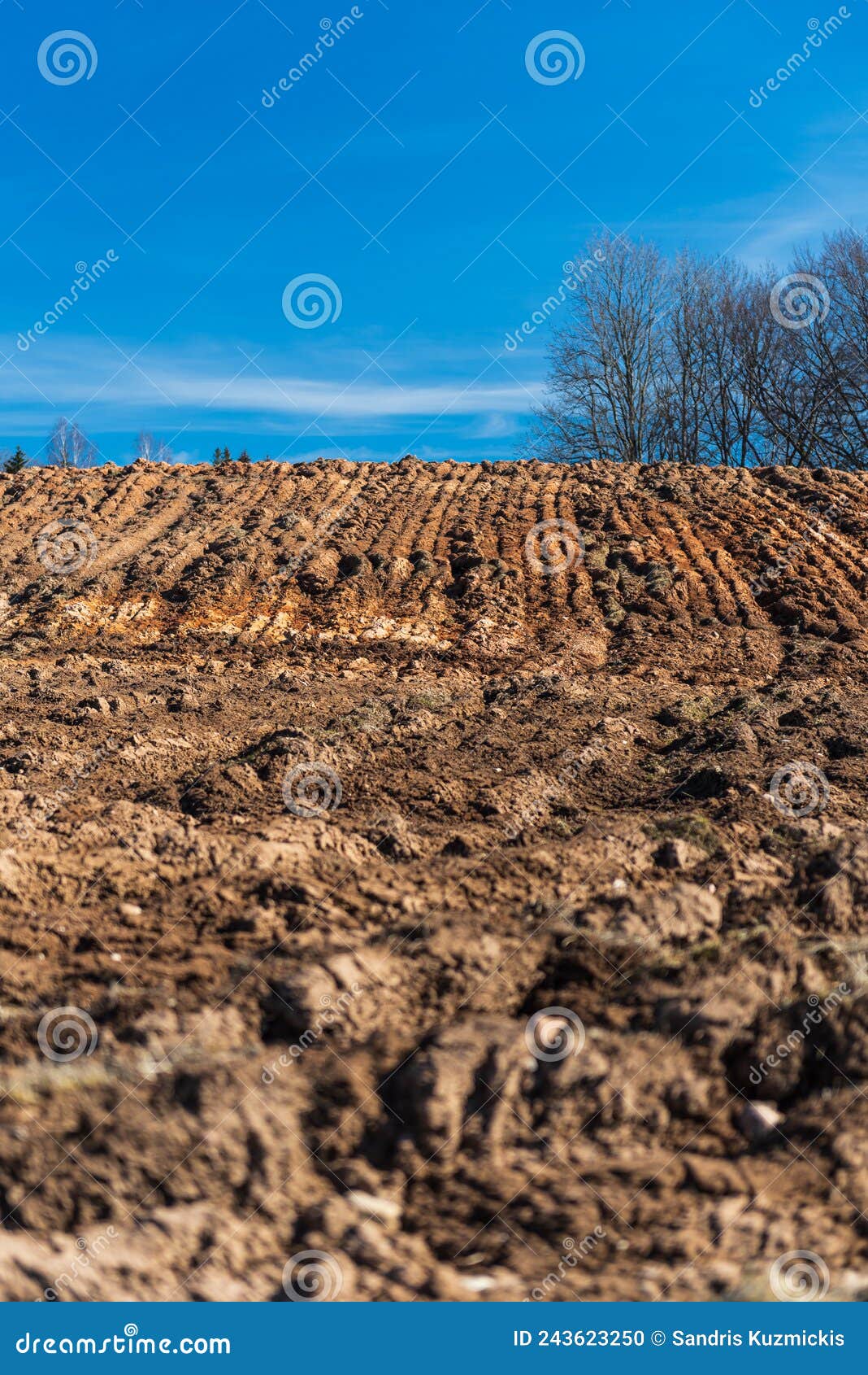 Arable Field in a Hilly Place, at the Edge of the Forest, on a Sunny ...