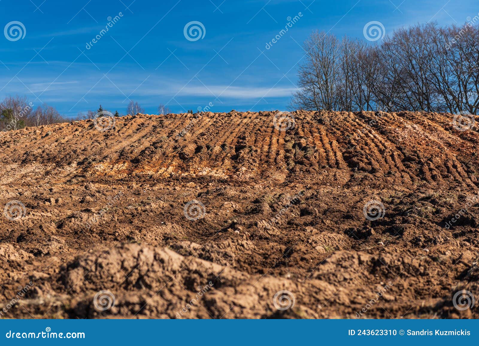 Arable Field in a Hilly Place, at the Edge of the Forest, on a Sunny ...