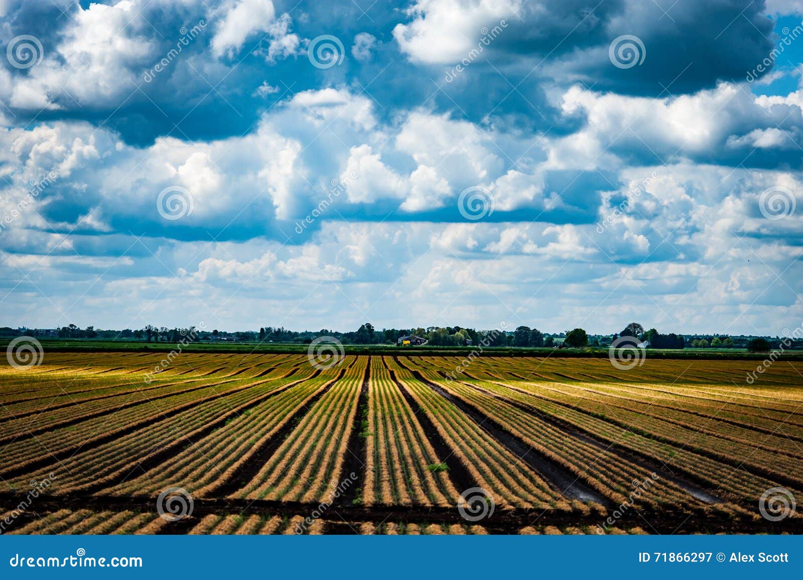 Arable field stock image. Image of fens, farming, agriculture - 71866297
